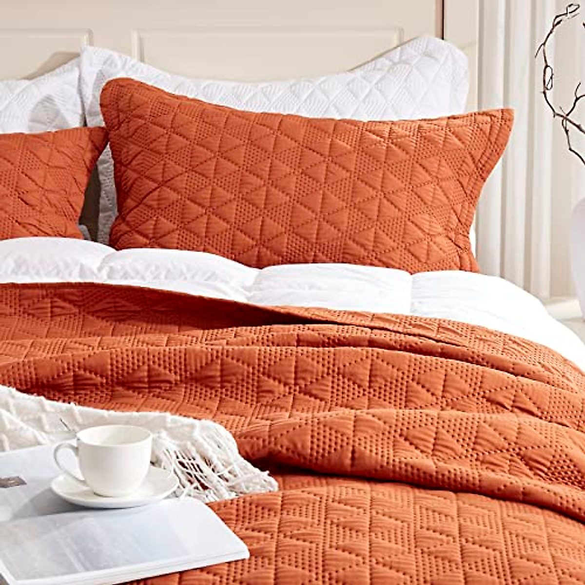Burnt Orange Queen Size Quilt Bedding Sets-3 Pieces, Lightweight Summer Bedspread/Coverlet-90''x98'', Luxurious Soft 3D Ultrasonic Microfiber Bed Quilt for All Seasons (Includes 1 Quilt,2 Shams)