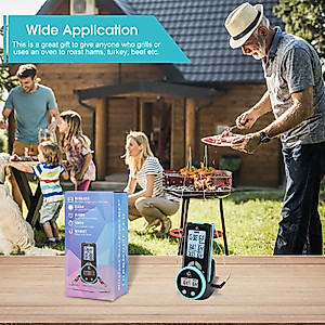 AIMILAR Remote Meat Thermometer for Cooking - Dual Probes Digital Meat Temperature Thermometer Magnetic for Grilling and Smoking with Clip Timer Alarm for Kithen Oven (Blue)