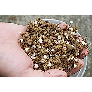 Yilotuce 3 Qts Carnivorous Plant Soil Mix, Great Potting Soil for Venus Fly Trap Live Plant, Pitcher Plants, Sundews and Butterworts