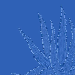 SheaMoisture Deep Conditioning Hair Masque for Curly, Coily Hair High Porosity Deep Conditioner to Fortify Hair 11 oz