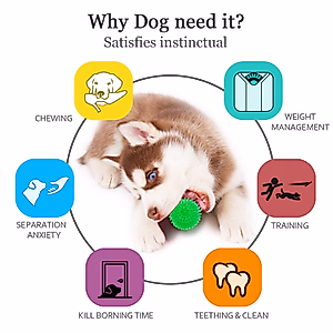 CHLEBEM Dog Balls Squeaky Small Dog Toys Puppy Toys Dog Chew Toy for Small Medium Dogs Interactive Durable Toys Chewing Cleaning Teeth Rubber Dog Ball Pet Teething