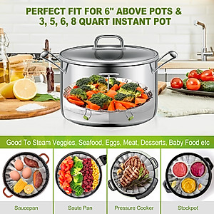 Pavsrmy Steamer Basket, 3rd Generation Stainless Steel Vegetable Steamer with Extendable Handle for Cooking Food, Folding & Expandable Veggie Steamer Insert, Fit Various Size Instant Pot (5.5" to 9")