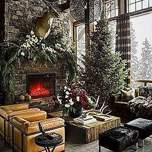 FIREBLAZE Electric Fireplace Eureka 26 inch - Curved Front Glass LED Fireplace Insert with Remote Control - Adjustable Heating, Sound, Brightness, Timer - 2-Way Recessed Installation - Heats 400 sq ft