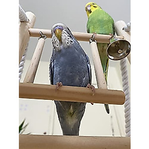 PENN-PLAX Bird Life Foldable Playpen – Perfect for Parakeets, Lovebirds, Cockatiels, and Conures – Great Storage Solution – Extra-Extra Large Size (Natural Brown)