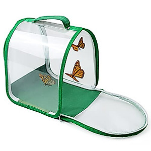 Small Butterfly Habitat, Insect Mesh Cage, Caterpillar Enclosure, Critter Cage, Bug Terrarium Portable Carry Handle Easy to Observe 8 x 8 x 8 Inches
