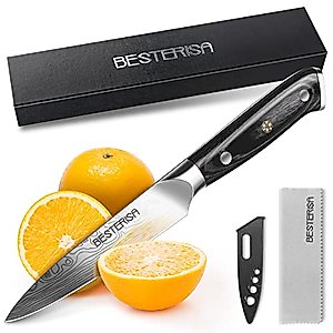 BESTERiSA Paring Knife -4 Inch Fruit Knife with Cover-High Carbon German Stainless Steel EN1.4116 Ultra Sharp Vegetable and Peeling Knif with Gift Box for Home Kitchen and Restaurant.