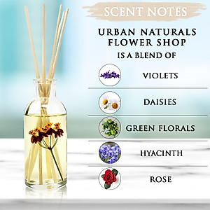 Urban Naturals Flower Shop Reed Diffuser Gift Set | Violets, Daisies, Hyacinth & Rose Fragrance Notes | Real Flower inside The Bottle! Made in The USA | Great Gift for Mom