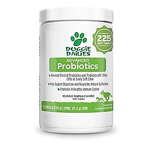 Doggie Dailies Probiotics for Dogs, 225 Soft Chews, Advanced Dog Probiotics with Prebiotics, Promotes Digestive Health, Supports Immune System and Overall Health (Pumpkin)