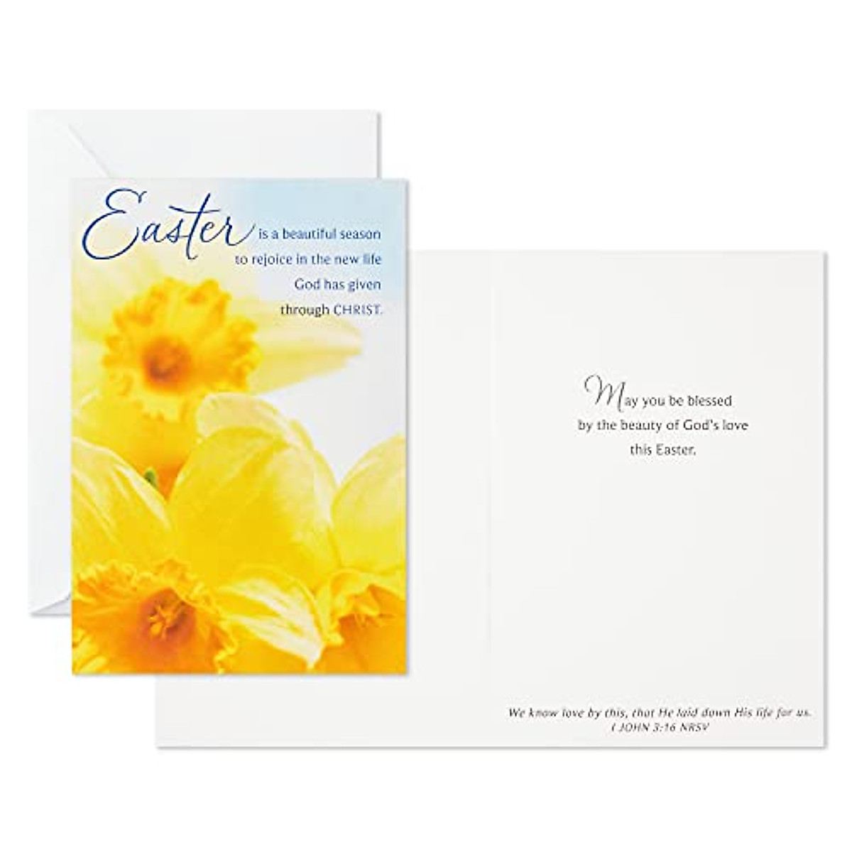 Hallmark Dayspring Religious Easter Cards Pack, Daffodils (8 Cards with Envelopes)