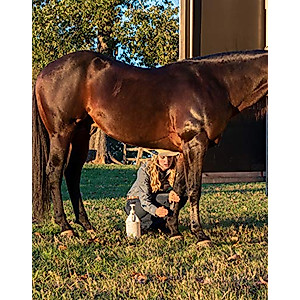 Draw It Out Liniment Gel - Veterinary Strength - Odorless and Colorless - Pain Relief Topical Analgesic Horse Cream for Joint and Muscle Pain - Natural Mineral - 64 oz