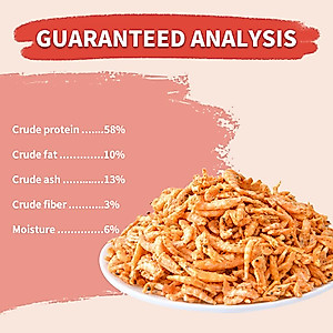 2.8oz Freeze Dried Shrimp for Cats, Vital Essentials for Cat, Natural Freeze Dried Cat Treats, Shrimp Food for Cat