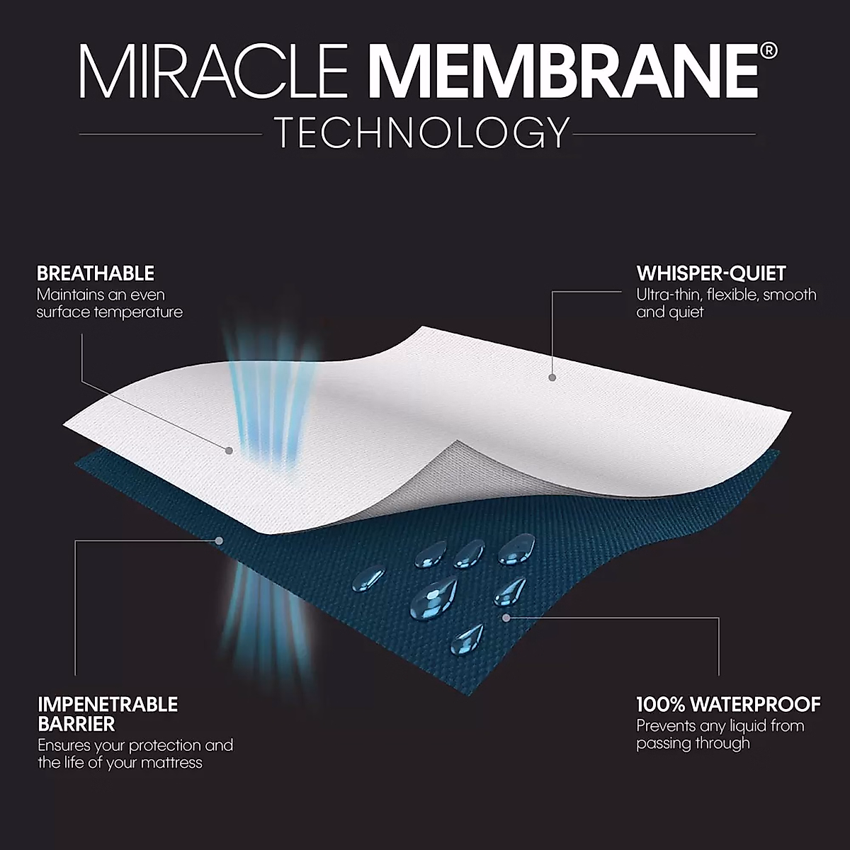 Protect-A-Bed, AllerZip Pillow Protector, Zippered, Waterproof, 2-pack, Standard Size