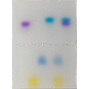 Innovating Science Electrophoresis: Agarose Gel Separation of Dyes Kit