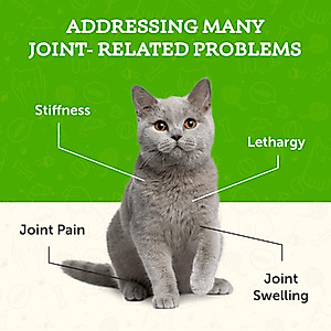 Animal Essentials Joint Support for Dogs & Cats- Joint Supplement, Liquid Joint Formula, Glucosamine, Organic Herbs, Veterinarian Recommended- 2 Fl Oz
