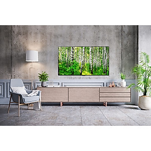 LG OLED77G1PUA G1 77 inch Class with Gallery Design 4K Smart OLED evo TV w/AI ThinQ Bundle w/ 1 Free Additional Year Extended Warranty Authorized Dealer