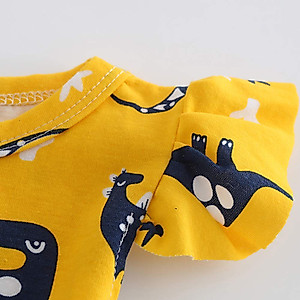 Jeinxcn Toddler Baby Girl Dinosaur Party Dress Summer Holiday Dress Outfit Clothes 4T