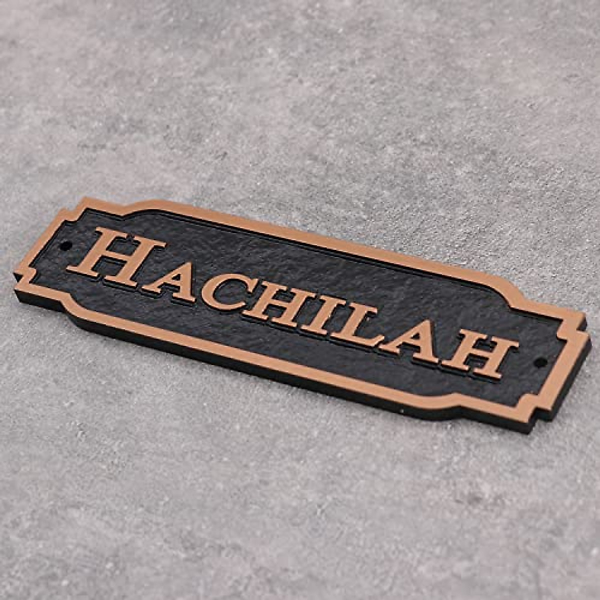 Acrylic Horse Stall Name Plate, 2.4" x 8" Personalized Stall Signs, UV Protected, Custom Pet Name Sign, All Weather Adhesive, Mounting (Antique Copper, Style 2)
