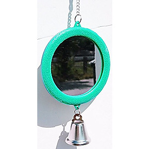 Hypeety Pet Bird Mirror with Bell Interactive Parrot Toy Bird Cage Mirror for Cockatiel Parakeets Canaries Budgie (Green)