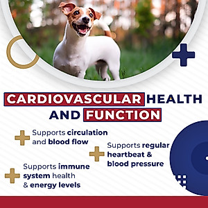 Cardio Tabs Heart Support Supplement for Dogs - Aids Cardio Support and Cardio Strength Supplement for Dog, L-Taurine, L-Carnitine, Hawthorn, L Arginine, Coenzyme Q10 - Made in USA - 120 Tablet