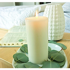 300+ Pcs Dried Real Eucalyptus Leaves, Rustic Boho Wedding Table Decor, 100% Natural Preserved Silver Dollar Eucalyptus Decor Green Leaves, Biodegradable Confetti for Weeding, DIY, Baby Shower, Cake1