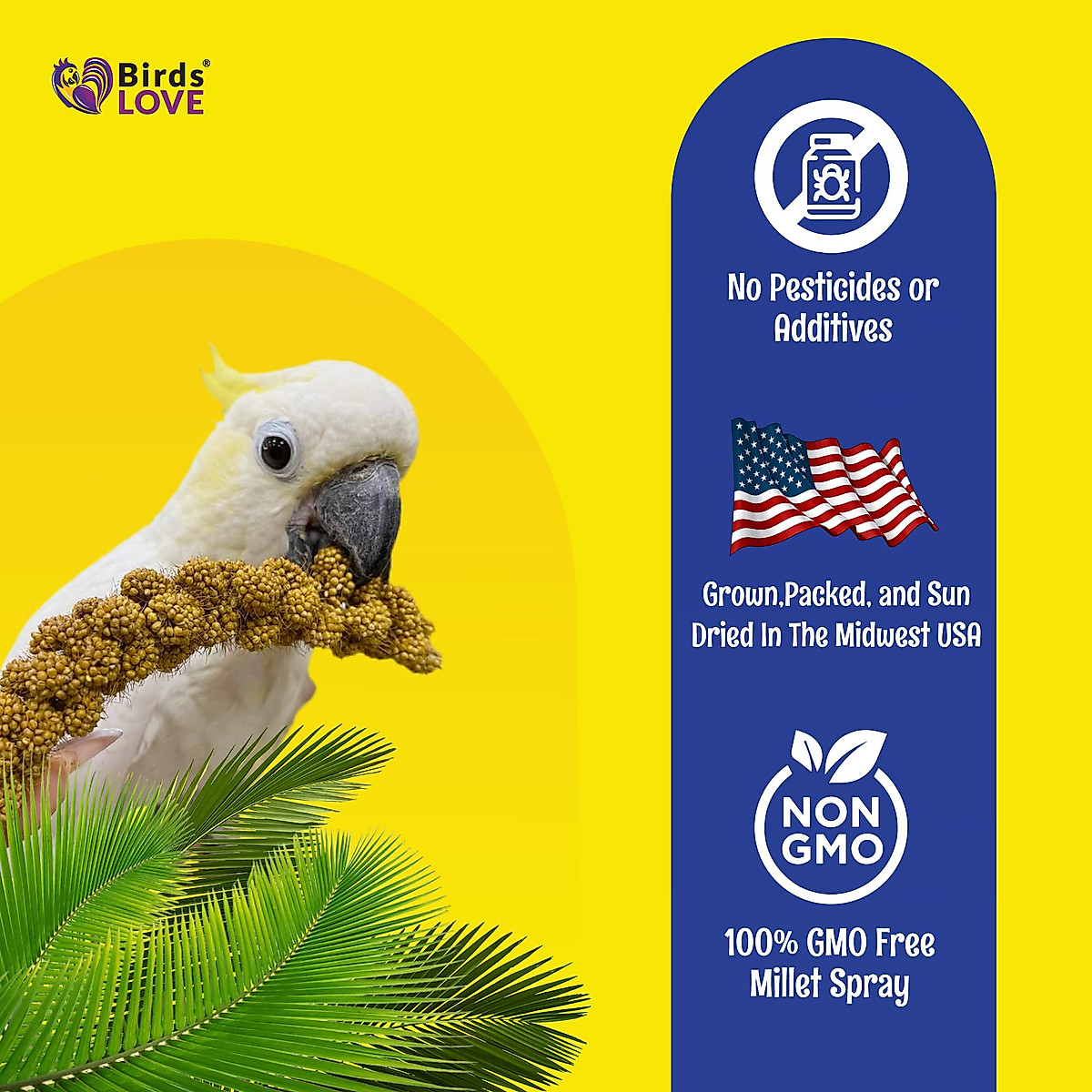 Birds LOVE Economy & Thin Special Spray Millet GMO-Free (No Stems Only Edible Tops) for Birds Cockatiel Lovebird Parakeet Finch Canary All Parrots Healthy Treat - 7oz