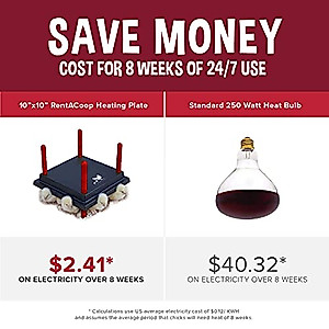 RentACoop Chick Brooder Heating Plate and Anti-Roost Cone Set - Brooder Heating Plate Warms Up to 15 Chicks - Chick Heater with 25 Adjustable Heights and 15 Watts - Safer Than Heat Lamps - 10" x 10"