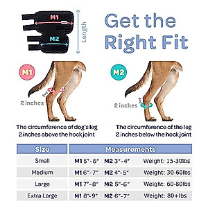 Labra Dog Extra Supportive Canine Rear (Hind) Leg Hock Joint Compression Wrap for Recovery, Protection, and Sprain and Injury Prevention, Ankle Brace with Knee Support for Dogs - Large