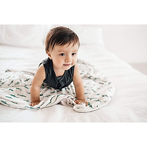 Copper Pearl Three-Layer Baby Blanket: Soft Baby Quilts for Boys and Girls | Breathable, Cozy, Toddler Blanket | Baby Quilt for Newborns | 46x46 Premium Polyester/Rayon | Pacific