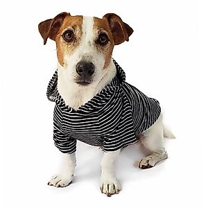 DJANGO Dog Hoodie and Super Soft and Stretchy Sweater with Elastic Waistband and Leash Portal (Medium, Black)