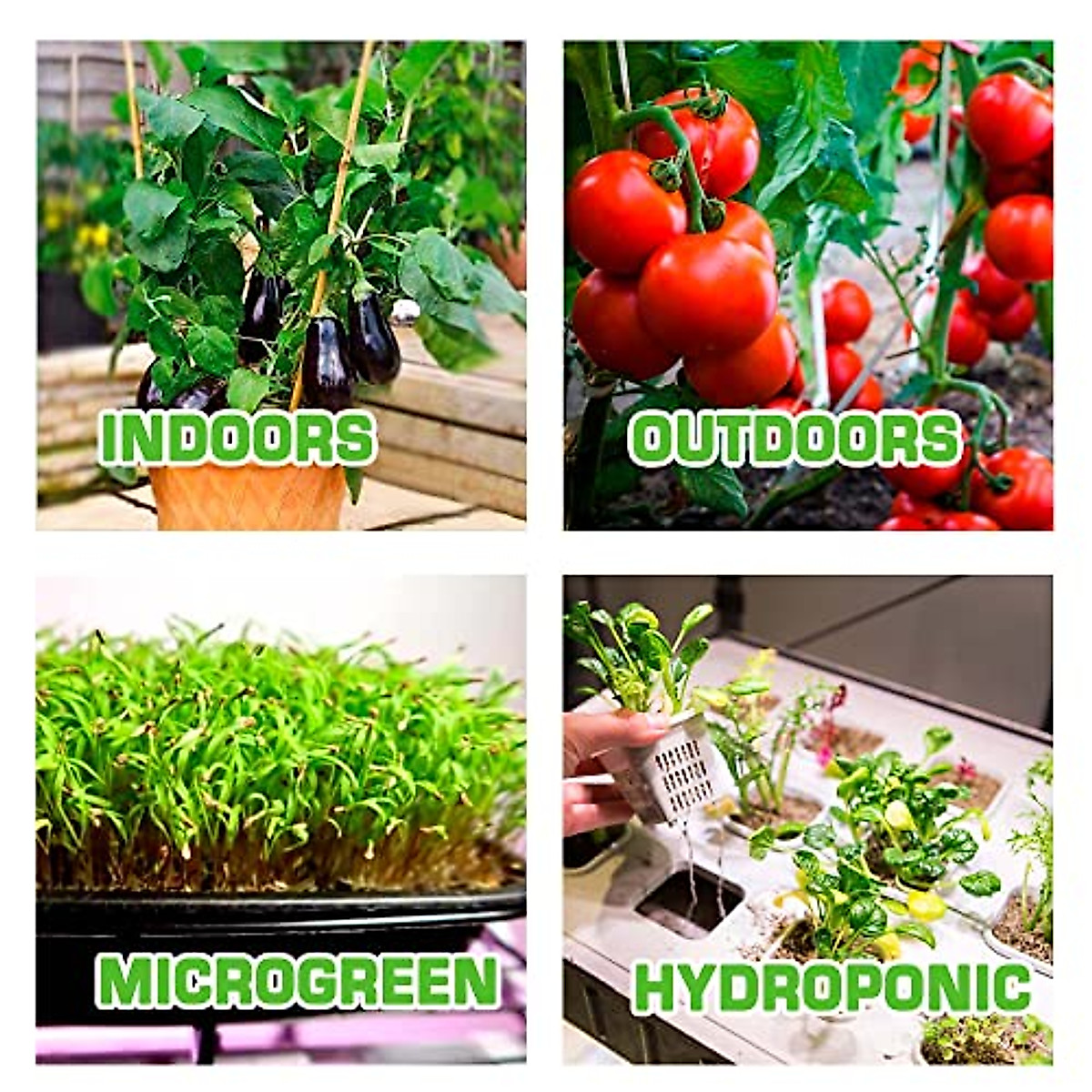 10 Assorted Vegetable Seeds - 100% Non GMO Variety Pack - 840+ Heirloom Garden Seeds for Planting Vegetables - Cucumber, Carrot, Tomatoes, Broccoli, Cabbage, Radish Seeds and More