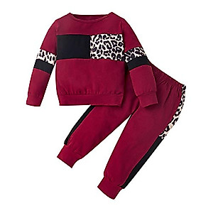 WESIDOM Baby Girl Clothes Sets, 2pcs Autumn Long Sleeve Clothes Outfits Toddler Girl Sweater Sets