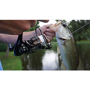 Cadence Spinning Reel-Elate 10+1 BB Light Weight & Durable -Stainless Steel Main Shaft, Die-Casting Handle&Double Anodized Spool-Ultra Smooth Powerful Reel with Graphite Body &Felt Washer