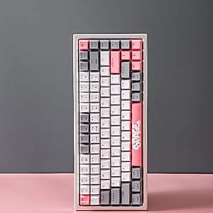 YUNZII AK84 84-Key Hot-Swappable Gaming Mechanical Keyboard with Double Shot PBT Keycaps, RGB, Aluminum Frame for Mac Windows (Gateron Black Switch, Silver)