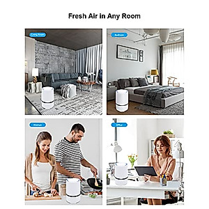 MELEDEN Air Purifier for Home with True HEPA Filters,Low Noise Portable Air Purifiers with Night Light,Desktop USB Air Cleaner,GL2103