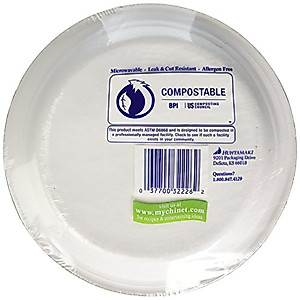 Chinet Classic White Dinner Plates, 32 ct