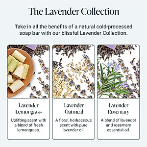 The Bubble Factory Lavender Collection - Handmade in the USA, Palm Oil Free, All Natural Bar Soap, 3 Bar Variety Pack, Lavender Lemongrass, Lavender Oatmeal, Lavender Rosemary