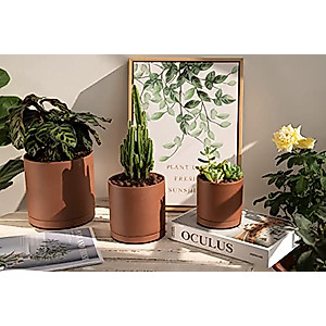D'vine Dev Rust Terracotta Pots, Set of 3, Clay Planters for Indoor Plants, Succulent Planter Pot with Drainage Hole and Saucer, 4.2 Inch 5.3 Inch 6.5 Inch, 40-A-T-0