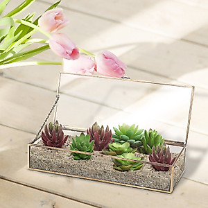 MyGift Glass Jewelry Box, Vintage Style Brass Metal & Clear Glass Mirrored Shadow Box Jewelry Display Case with Hinged Top Lid