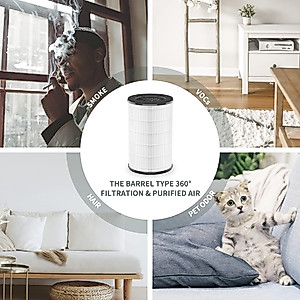 [UPGRADED] AP-PET35-WT AP-T30FL Replacement Filter Compatible with HoMedics Air Pu-rifier Filter, Replacement AP-T30 AP-T30WT AP-PET35 AP-PET35-WT, Part# AP-T30FL AP-PET35FL w/True HEPA, 2-Pack