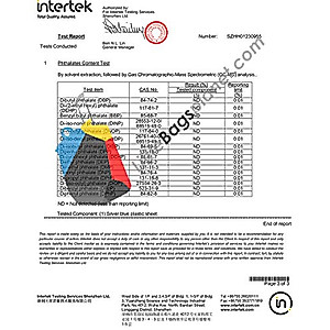 Amaro Premium 0.55mm Clear Dual Compartments Lunch Bag - Transparent Reusable Lunch Box for Adults - Ideal for Workplaces - Adjustable Shoulder Strap - Large Side Mesh Pockets