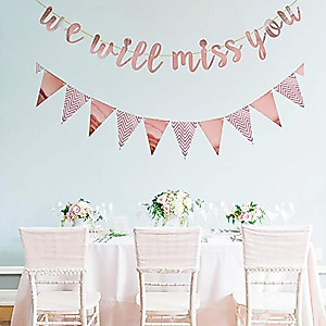 Mannli Elicola We Will Miss You Banner Rose Gold Glitter Banner Bunting Photo Props Backdrop for Retirement Farewell Going Away MISSU-WG 0