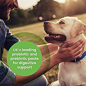 Protexin Pro-Kolin Plus Syringe 30 ml