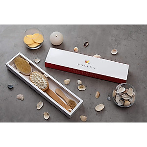 Dry Brushing Body Brush Set – Natural Bristle Spa Exfoliator Kit with Face Cleansing Brush, Long Dry Brushing Body Brush for Lymphatic Drainage & Massaging Cellulite Brush for Smooth, Radiant Skin