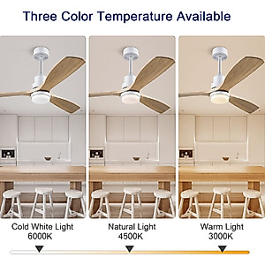 BOJUE 52 Inch Ceiling Fans with Light Remote Control,Indoor Outdoor Ceiling Fan for Patio Living Room,Bedroom,Office,Summer House,Etc