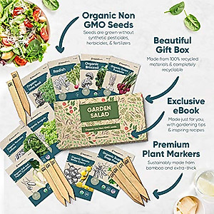 Certified Organic Vegetable Seeds - 9 Heirloom Seeds for Planting Vegetables - Seed Packets & Gift Box - Cherry Tomato, Romaine Lettuce, Broccoli, Cucumber, Radish, Sugar Snap Pea, Arugula, Basil