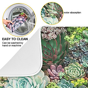 Dish Drying Mat For Counter Colorful Succulent Fast Draining 16 x 18 Inch Can Folded for Kitchen