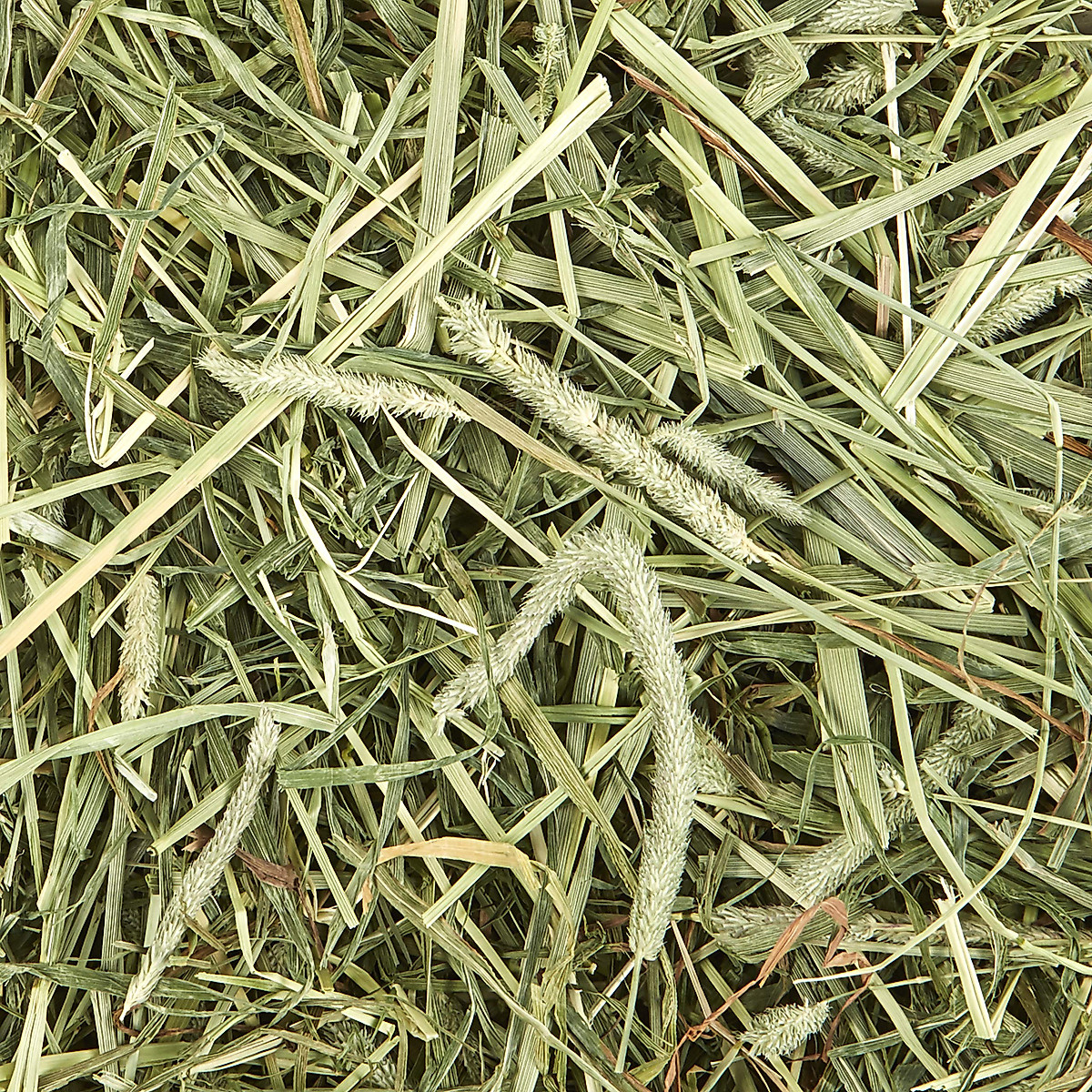 Kaytee All Natural Timothy Hay Plus Mint for Guinea Pigs, Rabbits & Other Small Animals, 24 Ounce