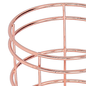 BORDSTRACT Small Wire Utensil Holder, 11x9x9cm Metal Round Pen Holder, Make Up Brush Holder Desk Cutlery Chopsticks Organizer for Kitchen Counter Home Office(Rose Gold)