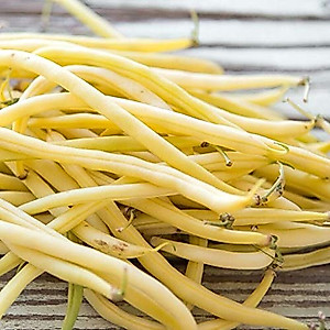 Golden Wax Bush Bean Plant Seeds, 50 Heirloom Seeds Per Packet, Non GMO Seeds, (Isla's Garden Seeds), Botanical Name: Phaseolus vulgaris, 85% Germination Rates