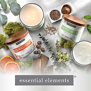 Essential Elements by Candle-lite Scented Candles Blood Orange & Teakwood Fragrance, One 9 oz. Single-Wick Aromatherapy Candle with 50 Hours of Burn Time, Off-White Color